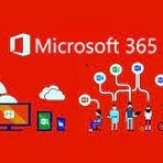 microsoft365.cpm/setup | New York, NY, USA Startup