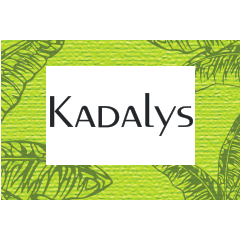 Shb Sas Kadalys Saint Esprit Le Marin Martinique Startup