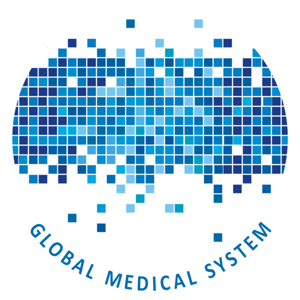Global Medical System | Campinas - State of São Paulo, Brazil Startup