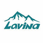 Lavina | Bogotá - Bogota, Colombia Startup