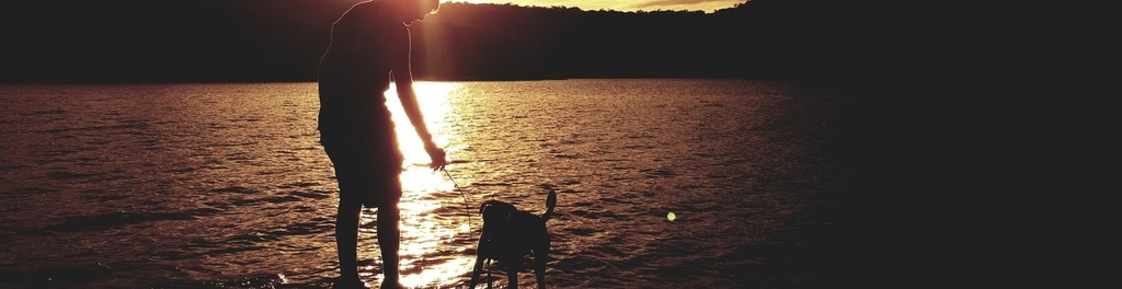 Color My World | Kingston, PA, USA Startup